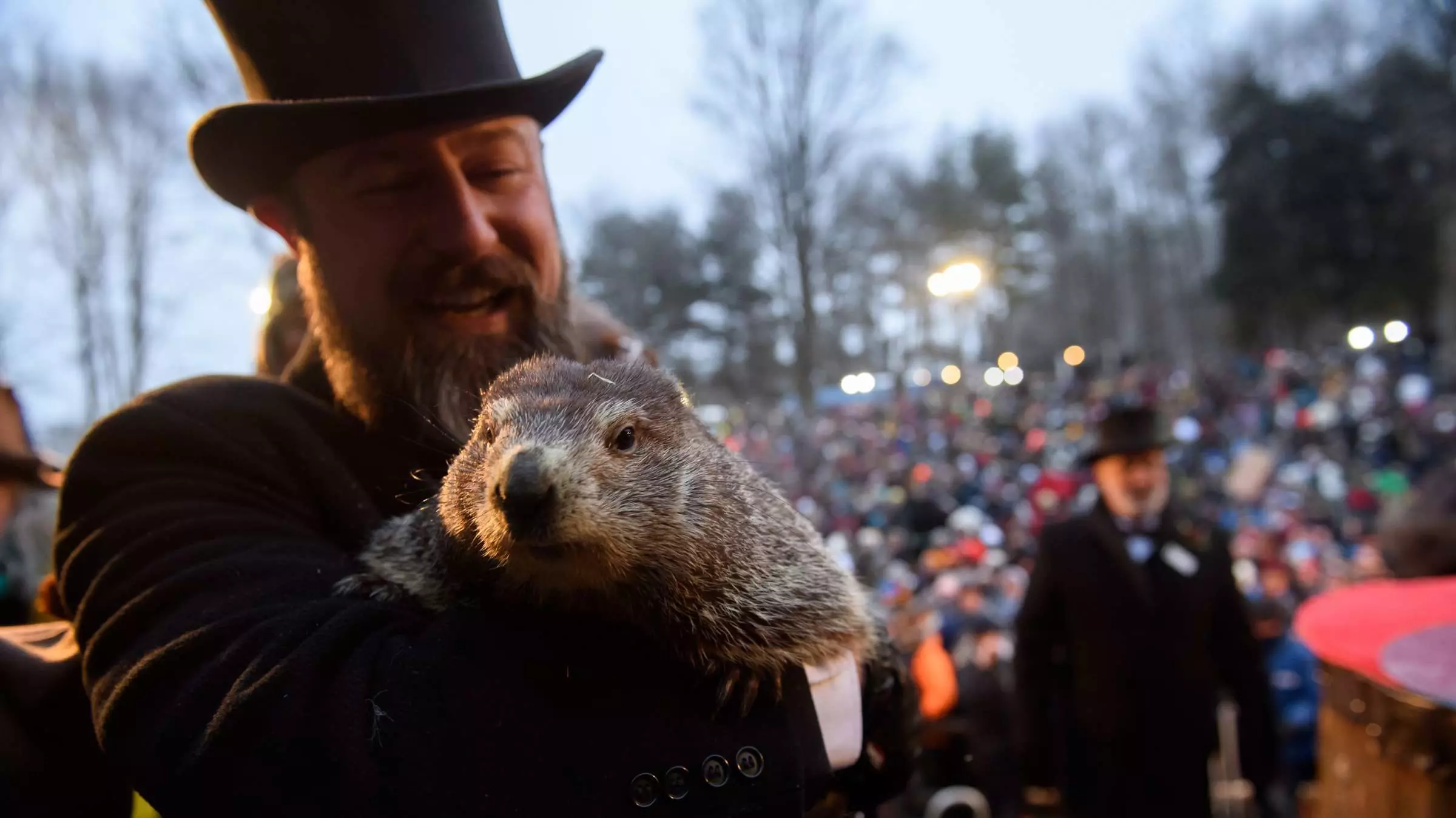 Punxsutawney Phil Is on Cameo