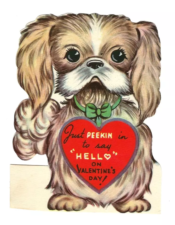 saint valentin vintage montrant un chien