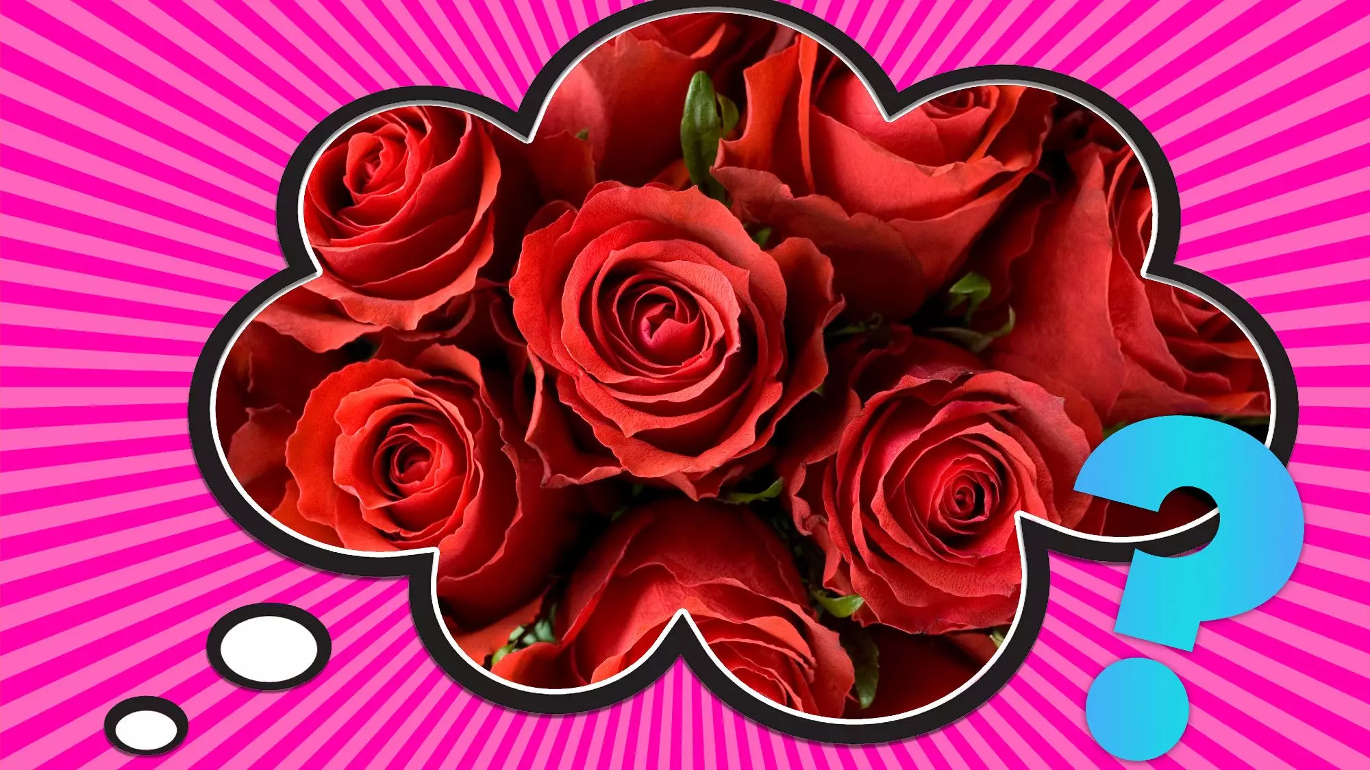 Proč dáváme na Valentýna červené růže?