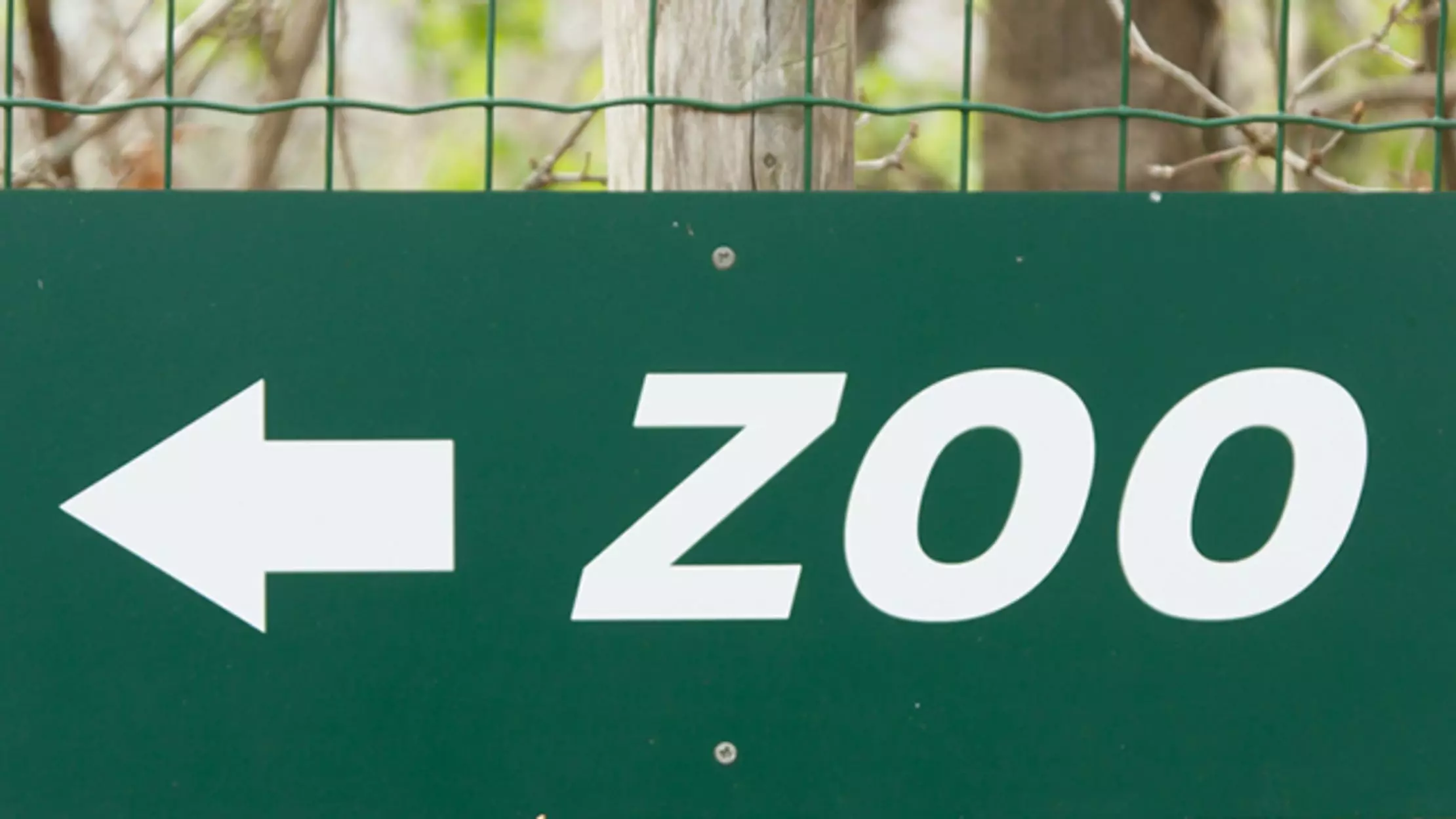 10 Tsiambaratelon'ny Zoos ao ambadiky ny sehatra