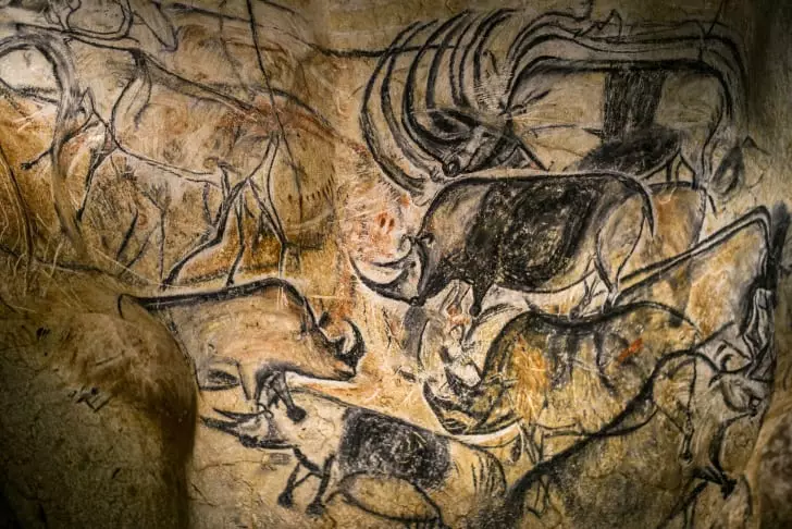 13 Zowona Zokhudza Zithunzi za Chauvet Cave 579_1