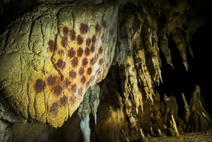 13 tény a Chauvet-barlang festményeiről 579_3