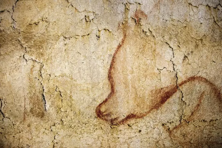 13 Zowona Zokhudza Zithunzi za Chauvet Cave 579_4