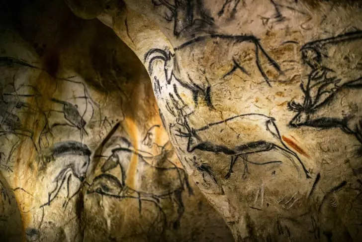 13 Zowona Zokhudza Zithunzi za Chauvet Cave 579_5