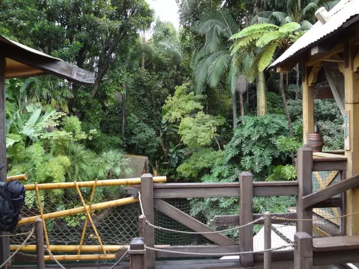 15 Fakta Tentang Jungle Cruise Disney 5836_2