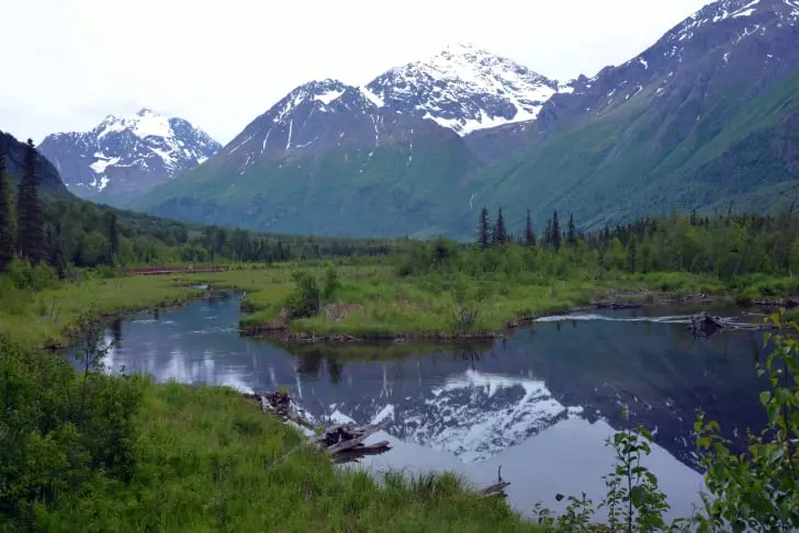 Eagle Rzeka Alaska