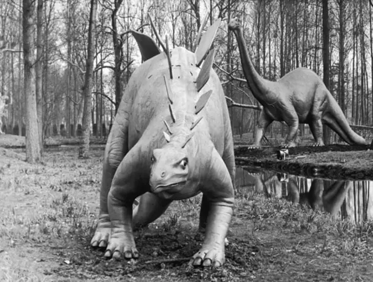 10 aštrių faktų apie Stegosaurus 6925_1