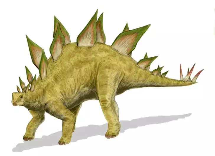 10 aštrių faktų apie Stegosaurus 6925_2