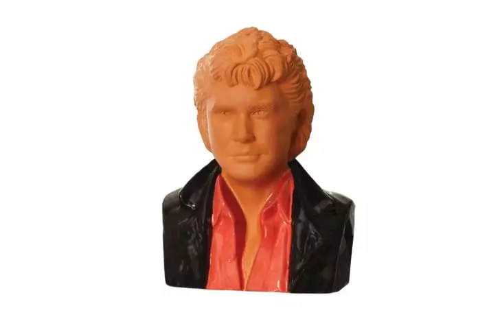 与 Richard Simmons 和 David Hasselhoff Chia Pets 重温 80 年代 7102_1