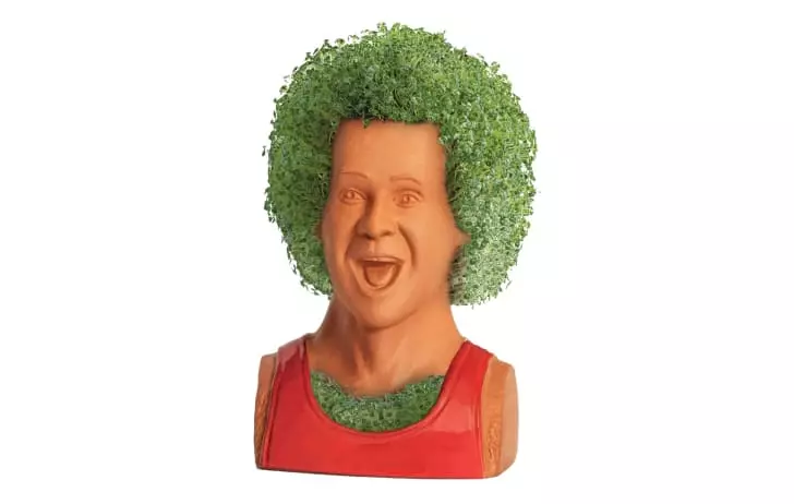 与 Richard Simmons 和 David Hasselhoff Chia Pets 重温 80 年代 7102_2