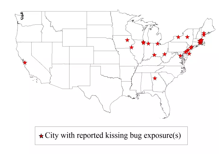 1899ko Kissing Bug Epidemia (Ziurrenik) Ez zena 8553_1