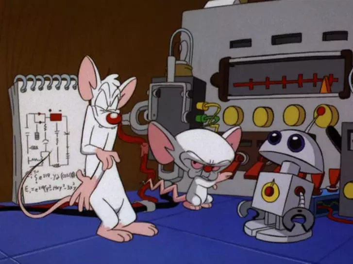 Taith Dywys o Animaniacs: Cyfrol 4 gyda Rob Paulsen a Tom Ruegger 8607_14