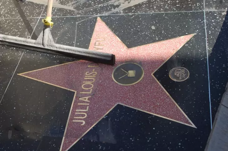 Asụsụ aghụghọ na Walk of Fame Hollywood 9313_1