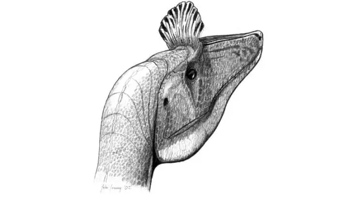 10 Malamig na Katotohanan Tungkol sa Cryolophosaurus 9359_1