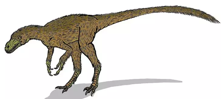 ការពិតចំនួន 10 អំពី Albertosaurus 9365_3