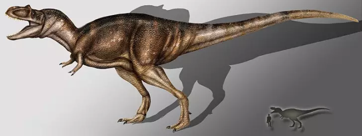 ការពិតចំនួន 10 អំពី Albertosaurus 9365_7