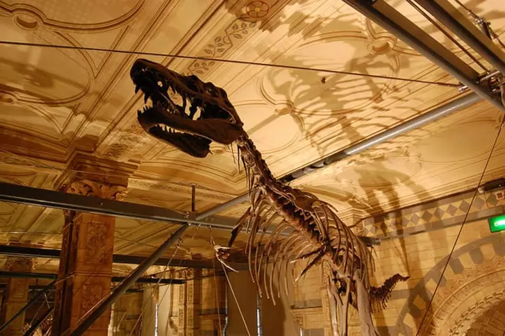 10 roofzuchtige feiten over Albertosaurus 9365_9