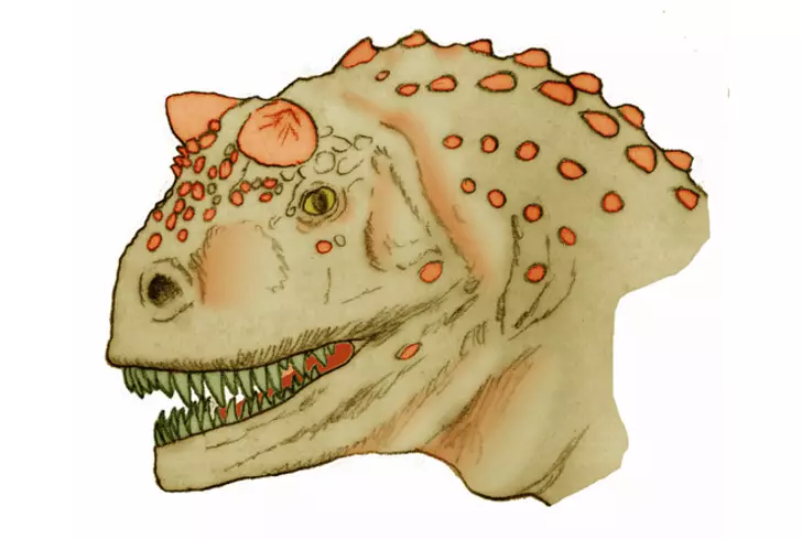 10 Horned Facts Tungkol kay Carnotaurus 9369_2