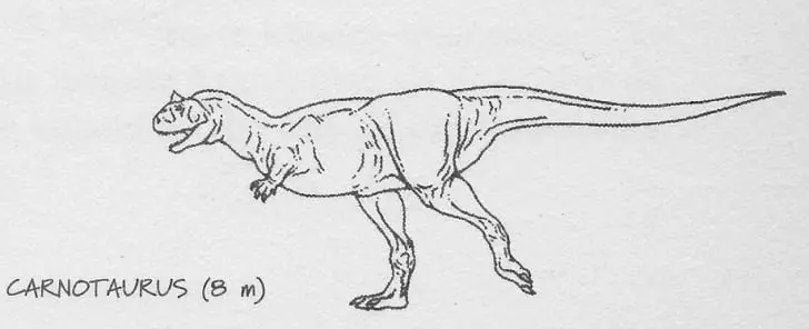 10 Horned Facts Tungkol kay Carnotaurus 9369_6