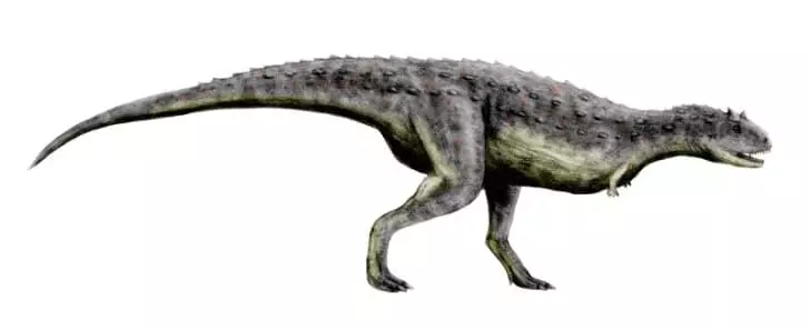 10 Horned Facts Tungkol kay Carnotaurus 9369_7