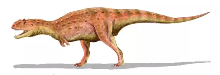 10 Horned Facts Tungkol kay Carnotaurus 9369_8