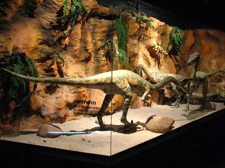 10 faktů o Coelophysis z flotily 9374_2